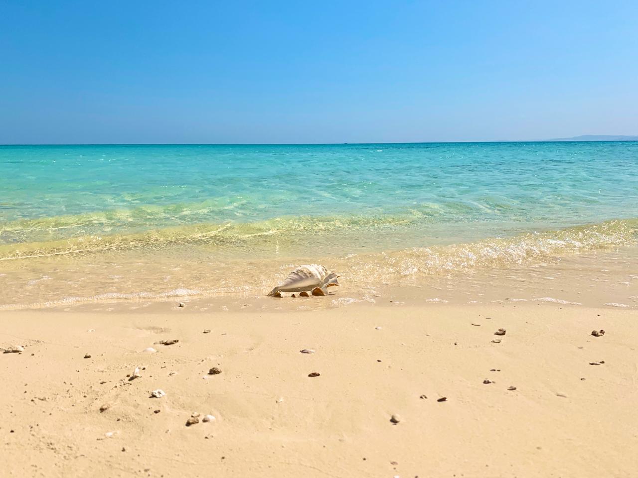 Wycieczka na plażę Sharm el Lulli (Ras Hankorab) z Marsa Alam